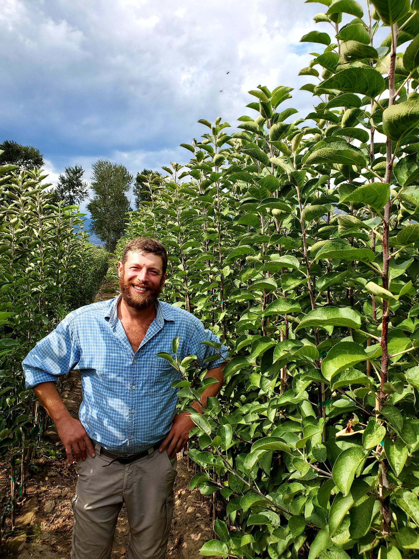 Simikameen Nurseries Ltd. – Similkameen Nurseries Ltd.