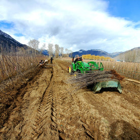 Simikameen Nurseries Ltd. – Similkameen Nurseries Ltd.